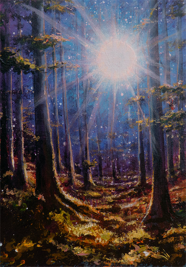Woodland rays. – The Jane Hilliard Gallery