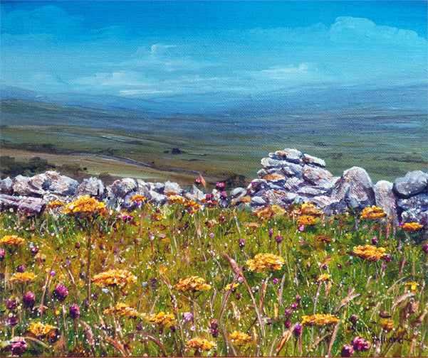Meadow display – The Jane Hilliard Gallery